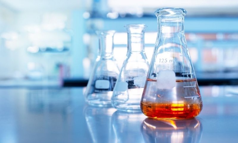 Viewpoint: Everything is a carcinogen! Here’s why there are so many ...