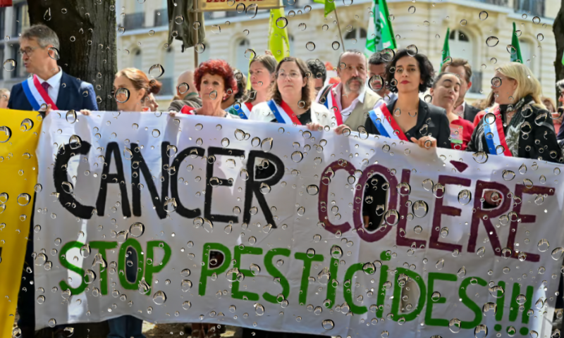 “It's raining neonicotinoids in Japan!” How the French media ...