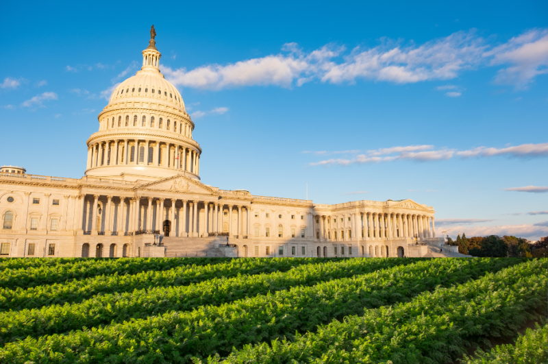 Viewpoint: The U.S. Congress needs to dramatically and quickly overhaul ...