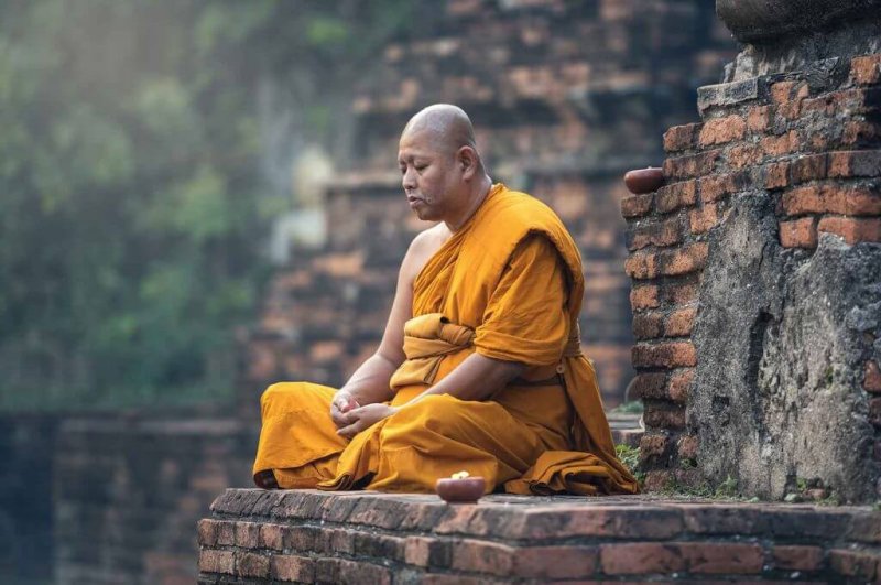 Are there evolutionary benefits to celibacy? - Genetic Literacy Project