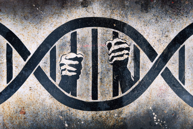 ‘Race’ and cancer therapy: Here’s why Black people are least likely to ...