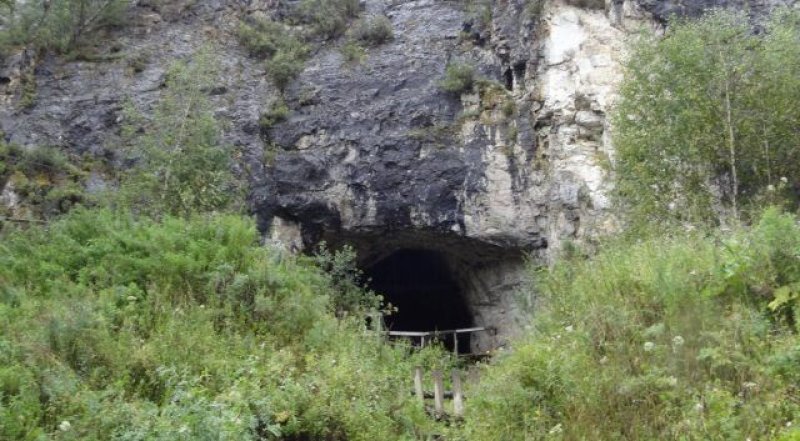 Video: Look inside Siberia's Denisova cave, where researchers ...