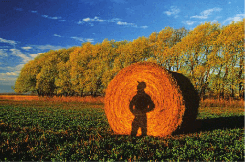 Congress "protects" GM crops | Genetic Literacy Project