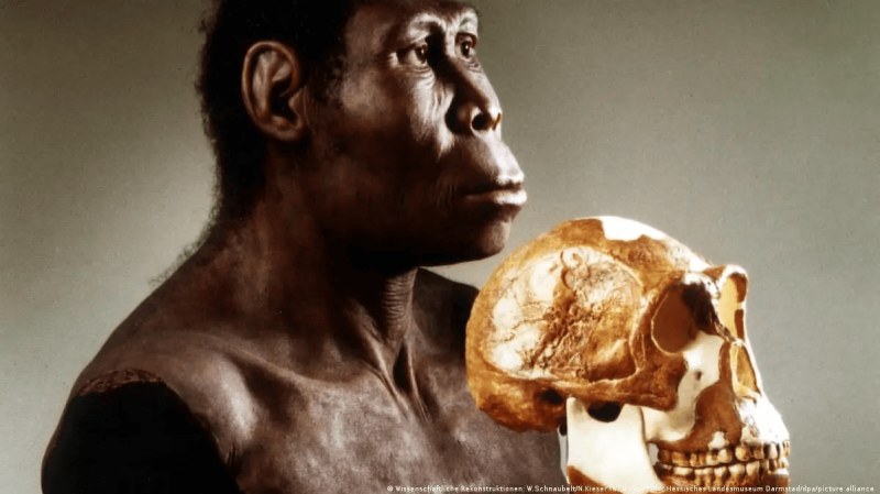 Out of Africa? Intriguing evidence that early humans may have moved ...