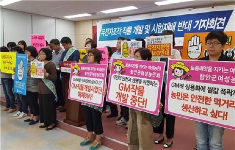 Korean agricultural research agency stops GM crop commercialization ...