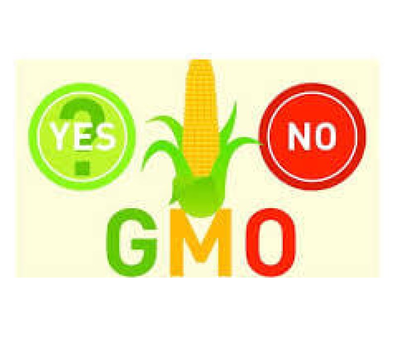The never-ending GMO debate: Pros and cons - Genetic Literacy Project