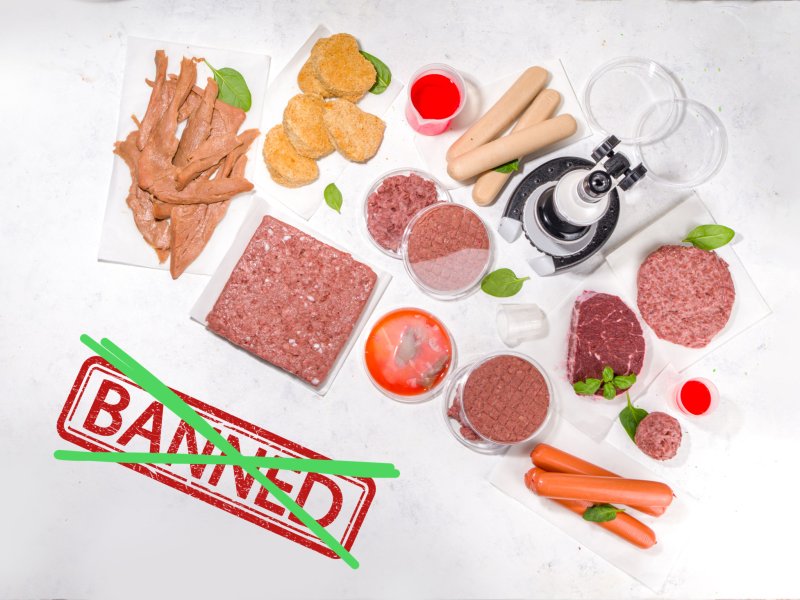 Italy’s ban on cellular meat: Protecting tradition or blocking ...