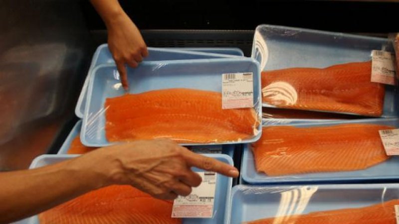 Will Canadians accept unlabeled genetically modified salmon? - Genetic ...