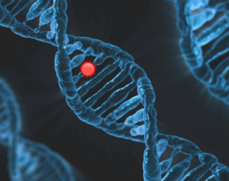 He Jiankui’s new gene editing experiment: China's CRISPR baby scientist ...